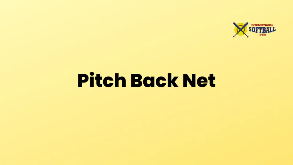 Pitch Back Net - International Softball